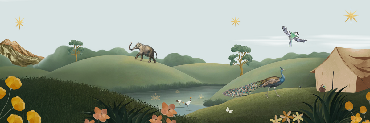 Vases | Radiant Clear Vase With Black Base - Small