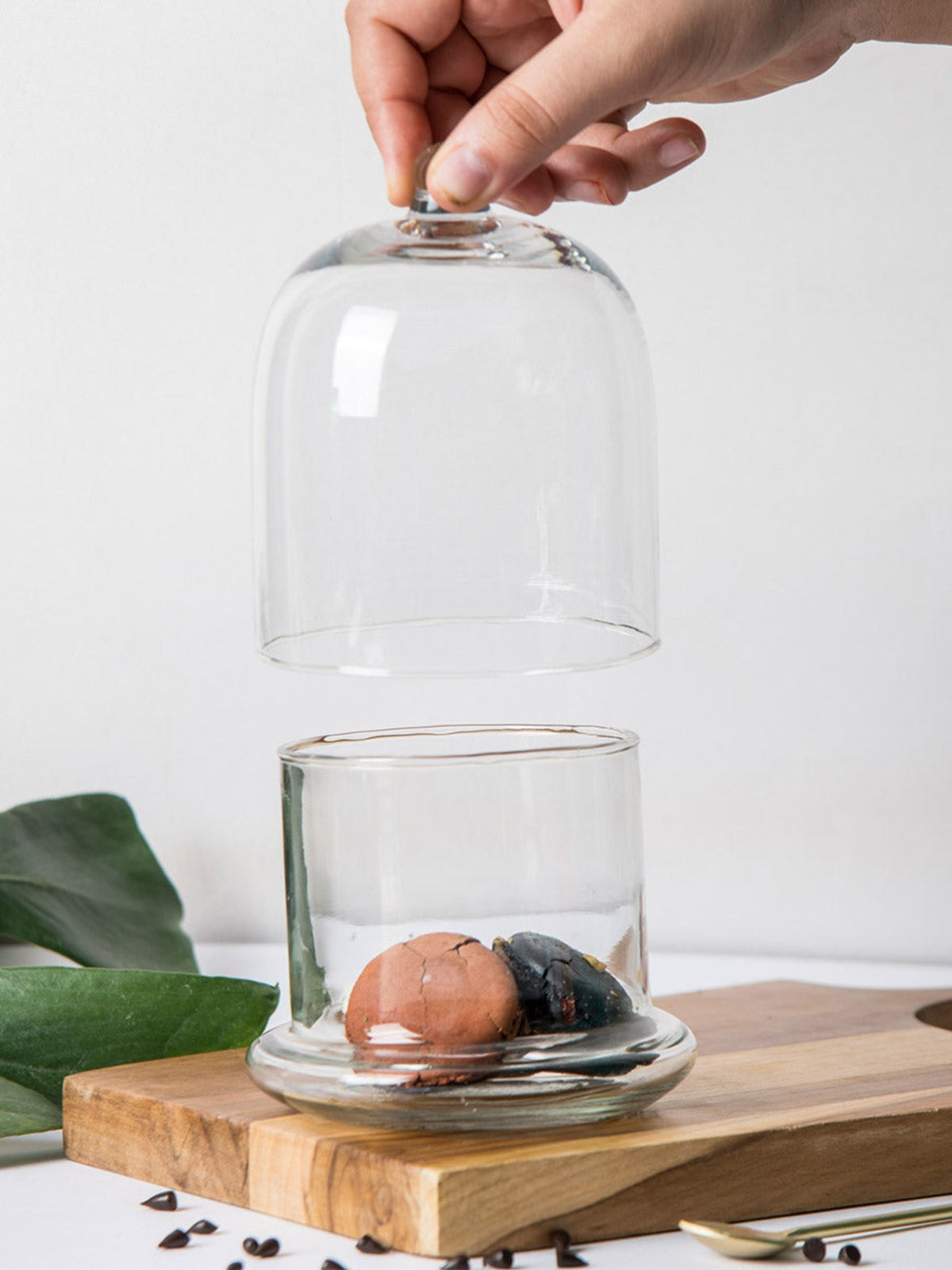 Jars & Containers | Glass Bell Jar - White